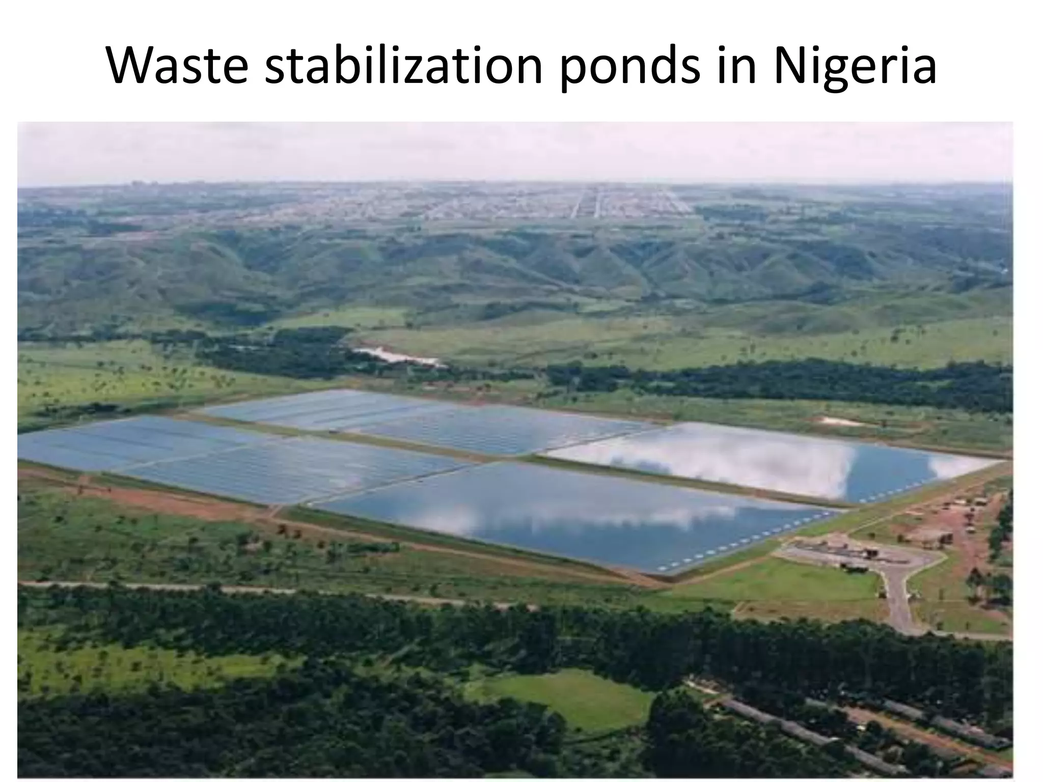 Sewage outfalls in marine and coastal areas | PPTX | Science