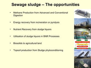 Sewage Sludge – Challenge Or Opportunity | PPT
