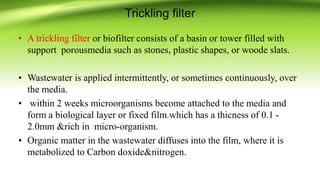 Sewage treatment | PPTX