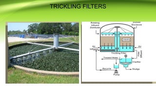 Sewage treatment | PPTX | Home & Garden