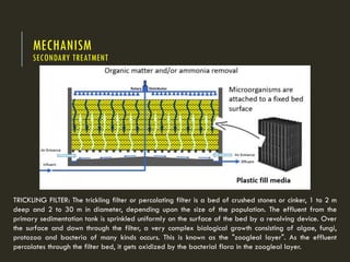 Sewage Treatment and a case study of treatment plant | PDF