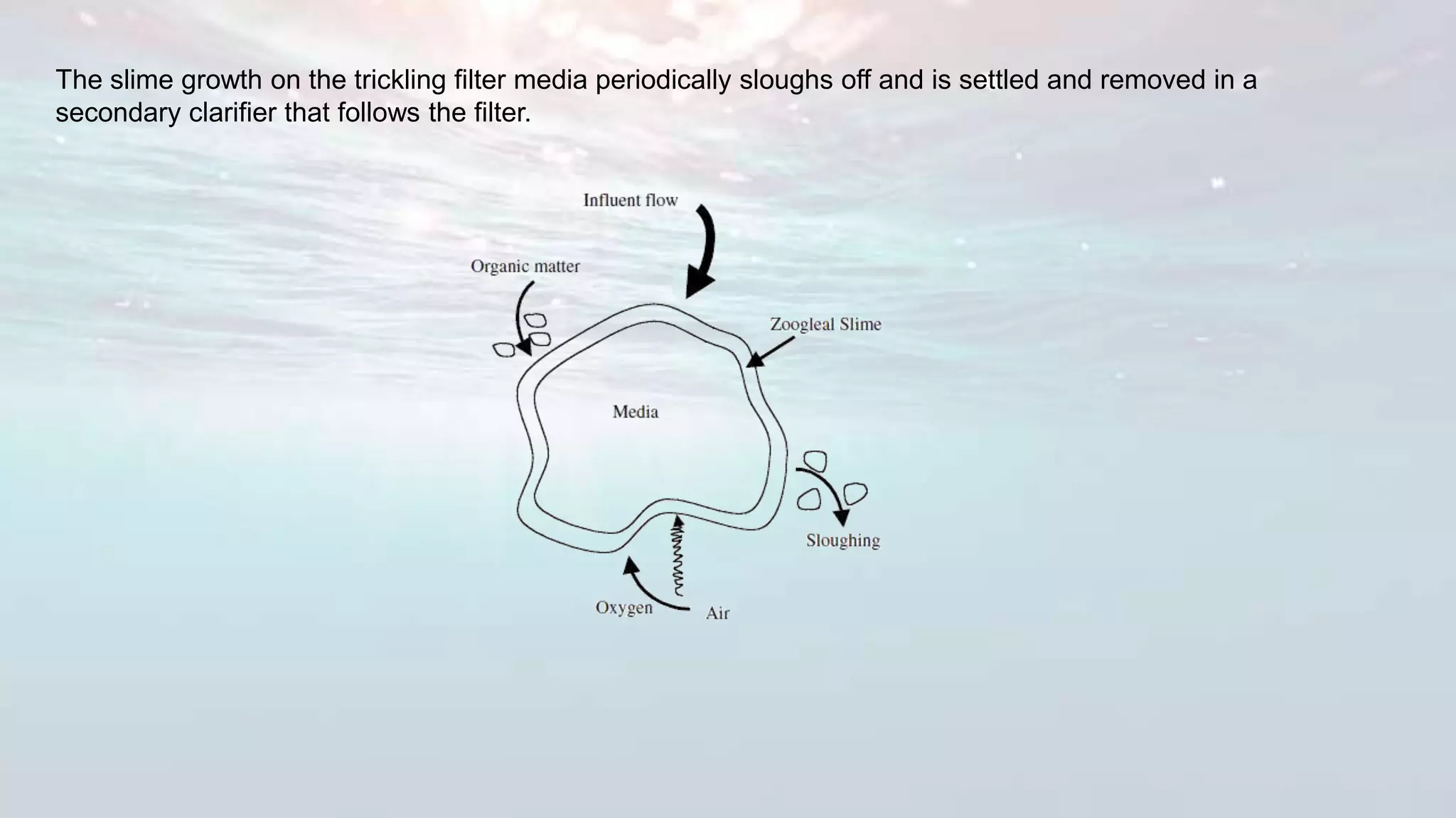 BOD and sewage water treatment process | PPTX