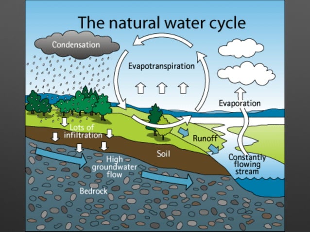 NYC Sewersheds: Our Urban Water Cycles | PPT