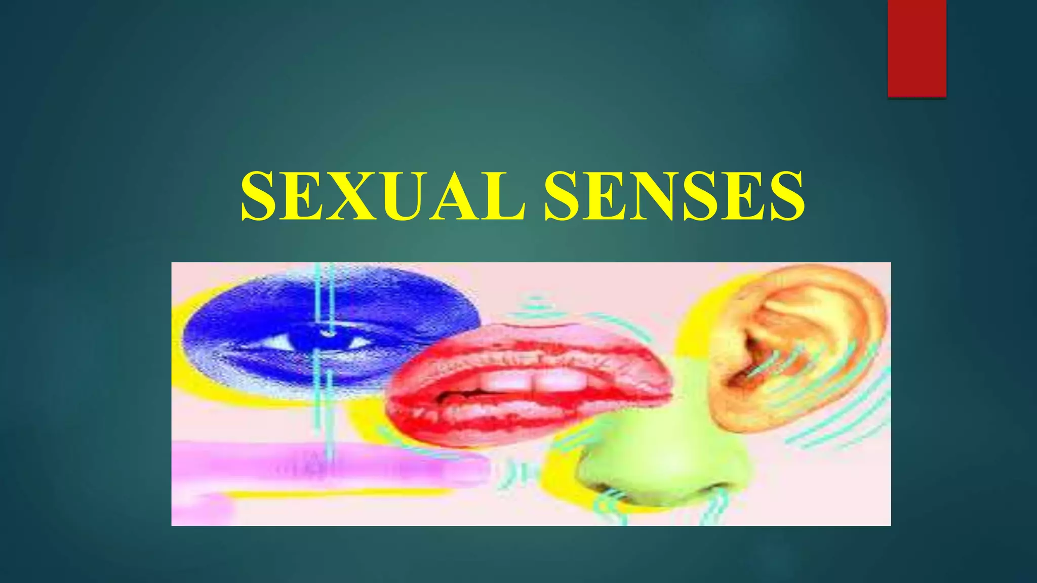 Sex And Senses Pptx