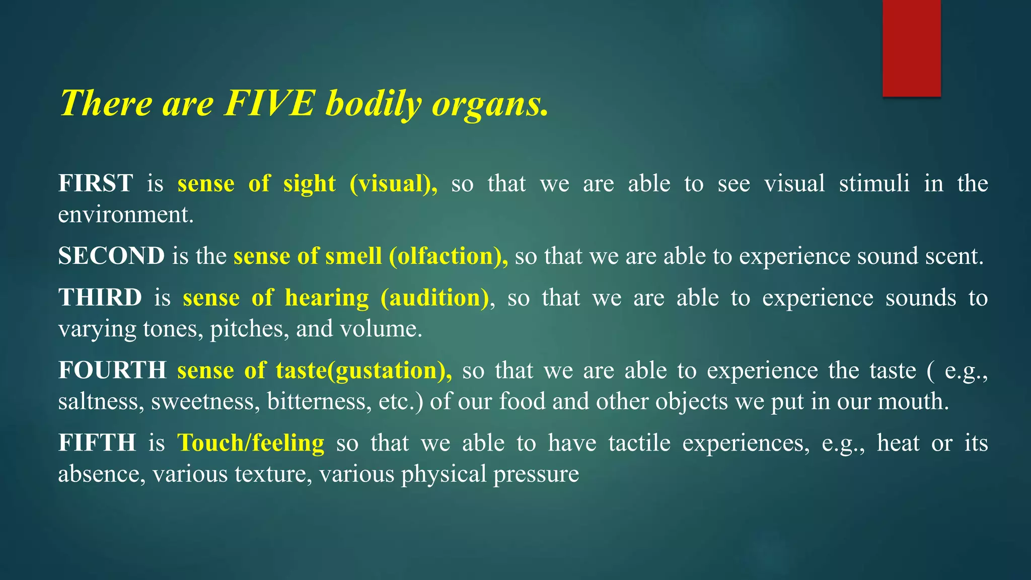Sex And Senses Pptx