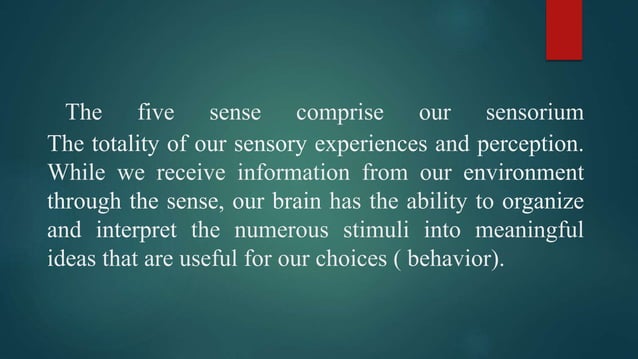 Sex And Senses Pptx