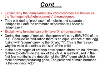 Sex Determination 8 | PPT