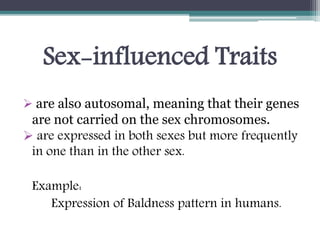 Sex limited traits and sex-influenced traits | PPT