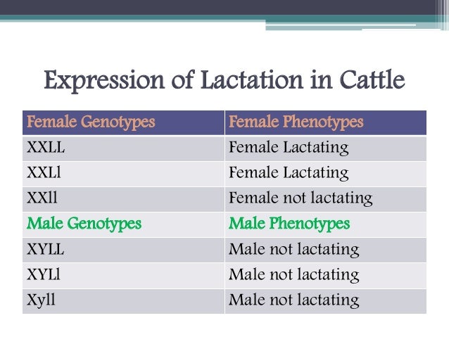 Sex Limited Traits And Sex Influenced Traits