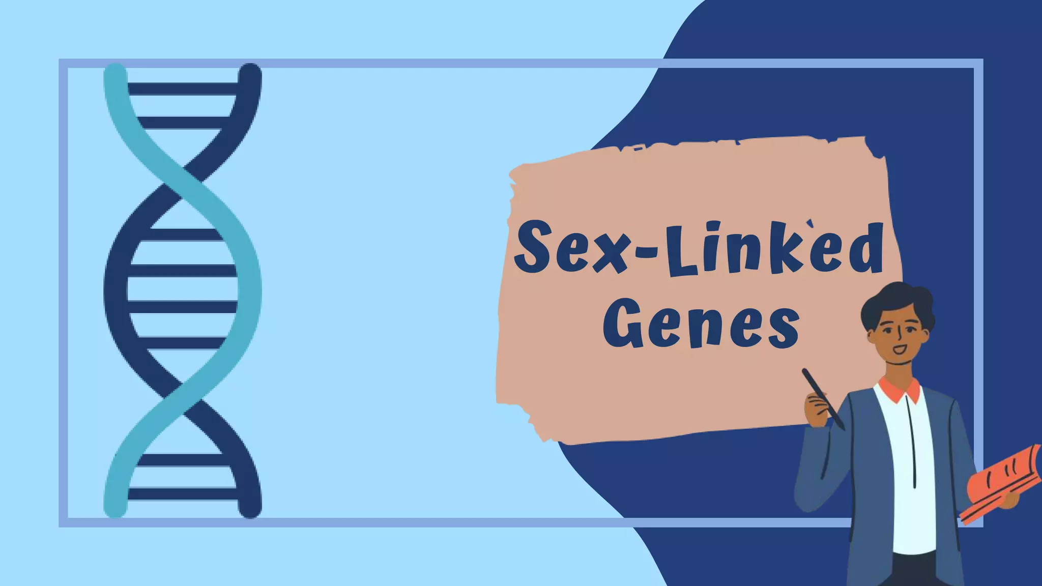 Sex Linked Genes Pptx
