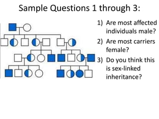 Sex linked inheritance | PPTX
