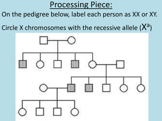 Sex linked inheritance | PPTX