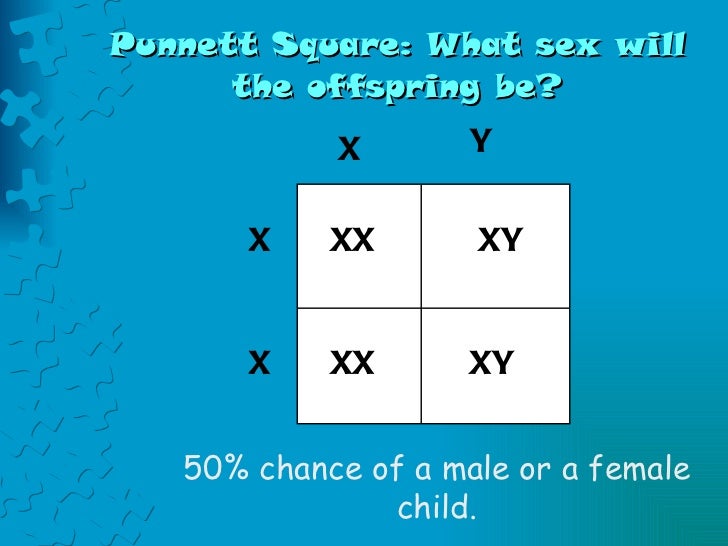 Sex Linked Traits
