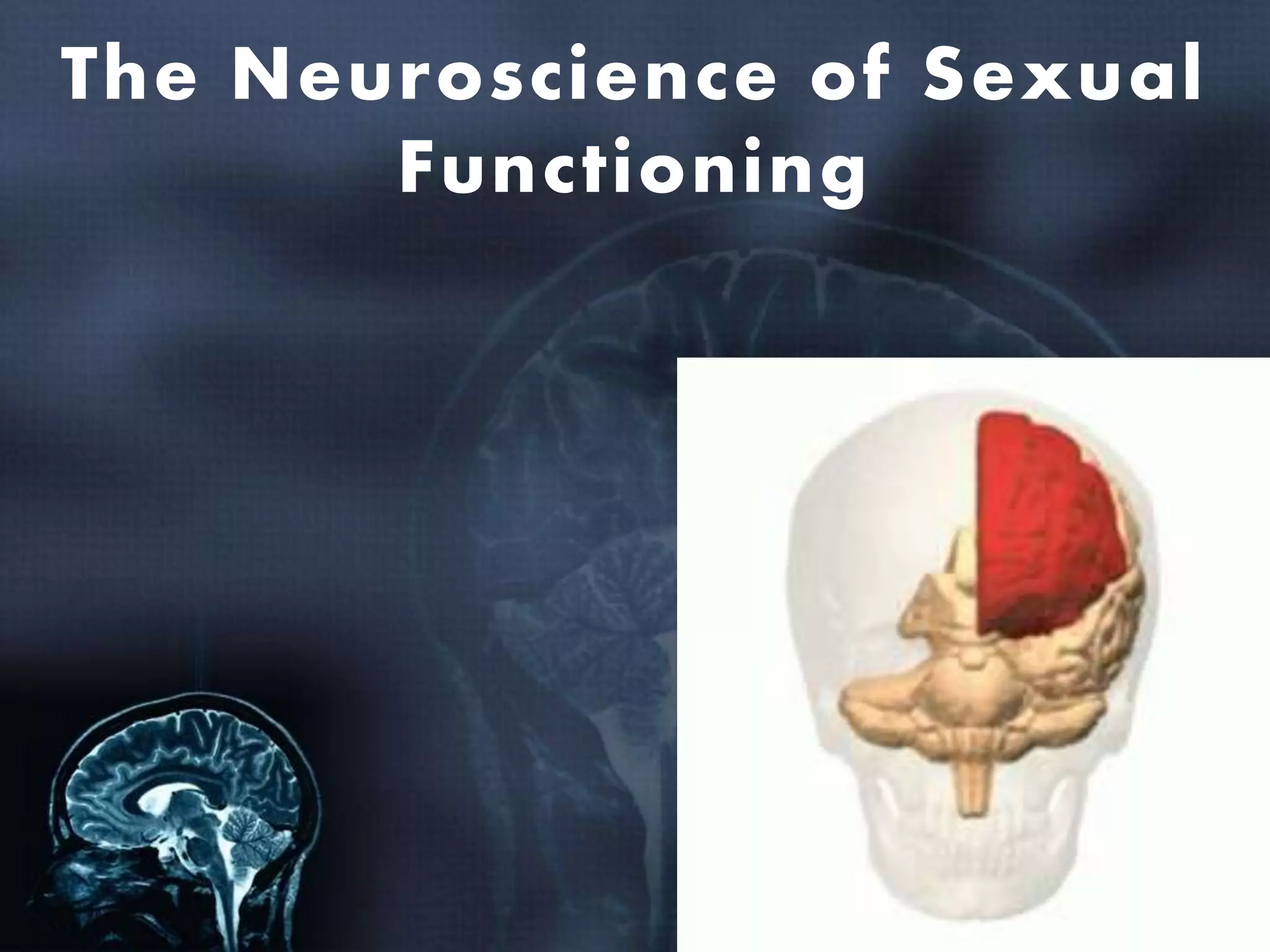 Sex and brain | PPTX