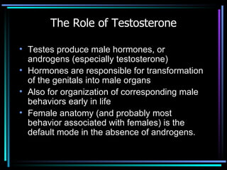 Sex And The Brain | PPT