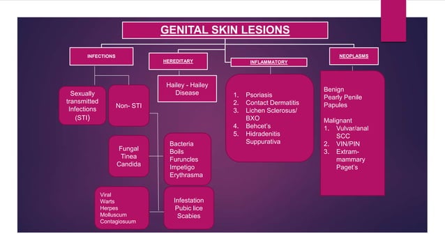 Genital Skin Lesions | PPTX | Sexual Conditions | Sexual Health