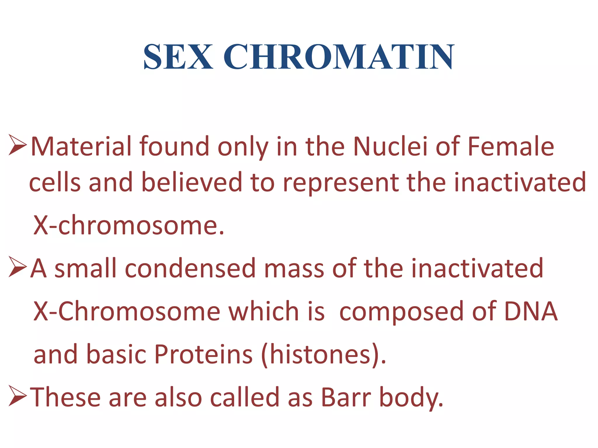 Sex Chromatin And Lyons Hypothesis And Bar Body Pptx