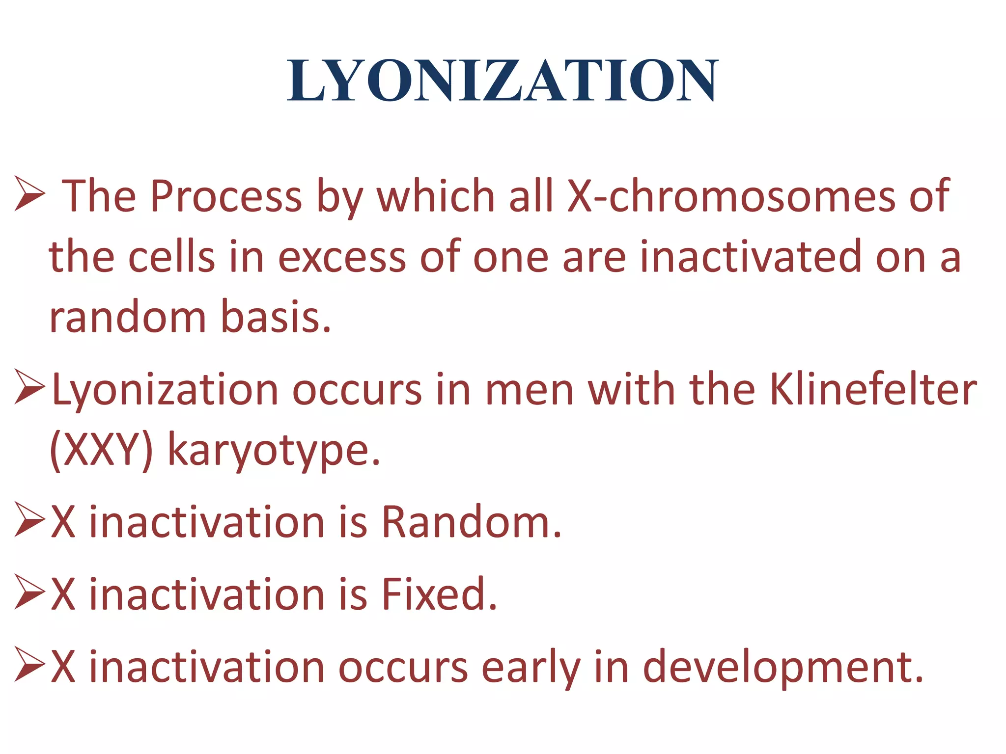 Sex Chromatin And Lyons Hypothesis And Bar Body Ppt 4317