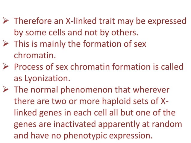 Sex Chromatin And Lyons Hypothesis And Bar Body Pptx