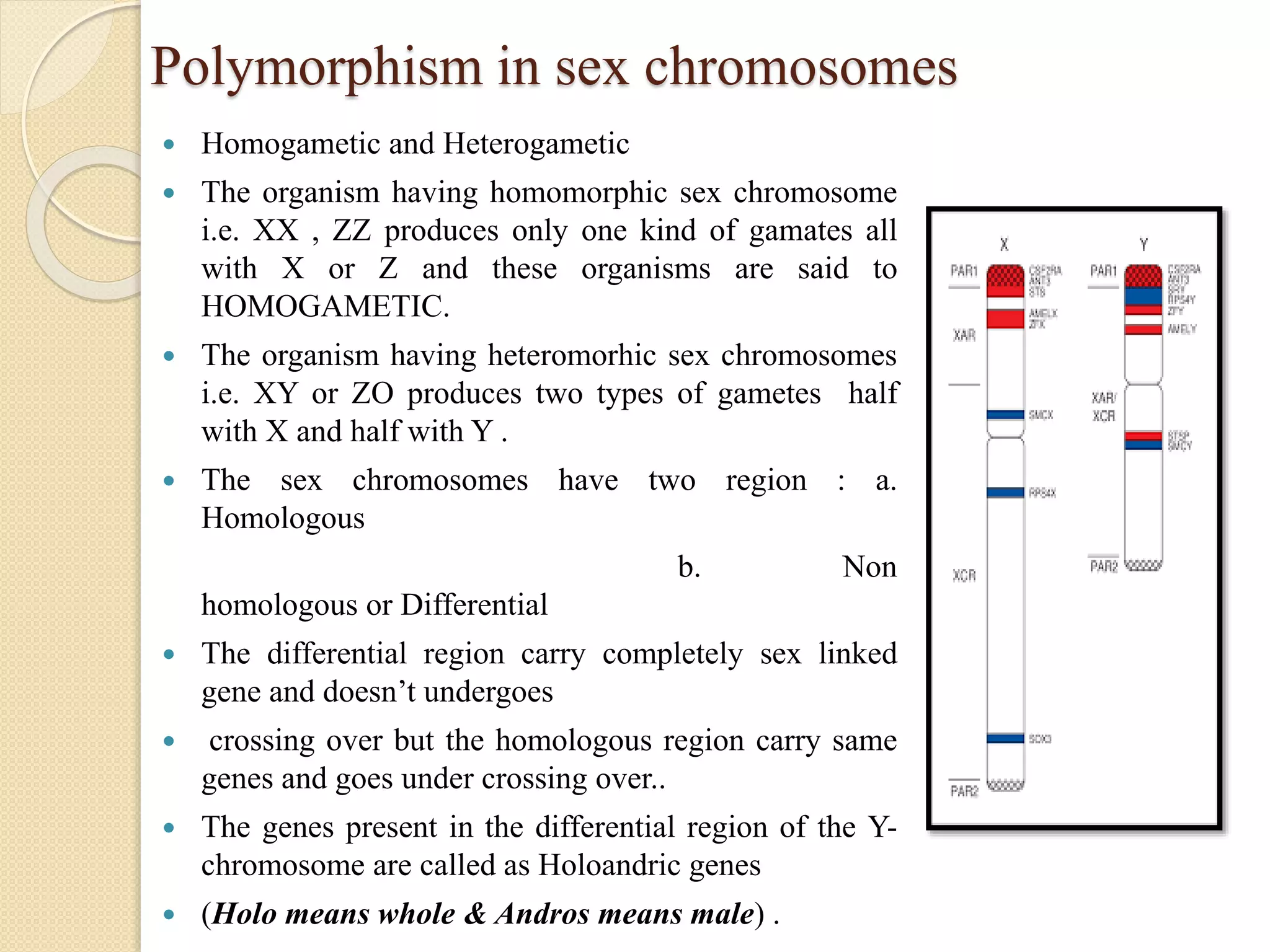Sex chromosome | PPTX