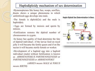 Sex chromosome | PPTX