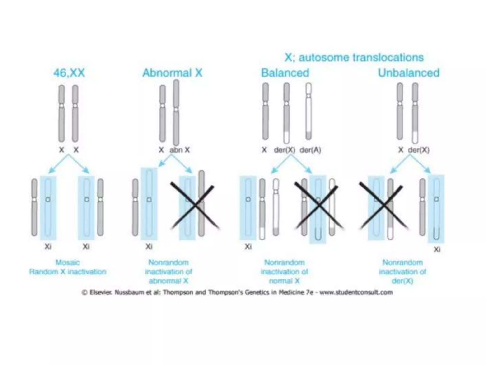Sex Chromosome Disorders Ppt