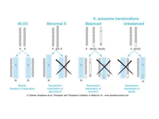 Sex Chromosome Disorders Ppt