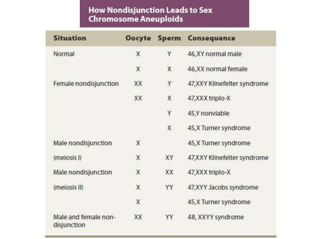Sex Chromosome Disorders Pptx
