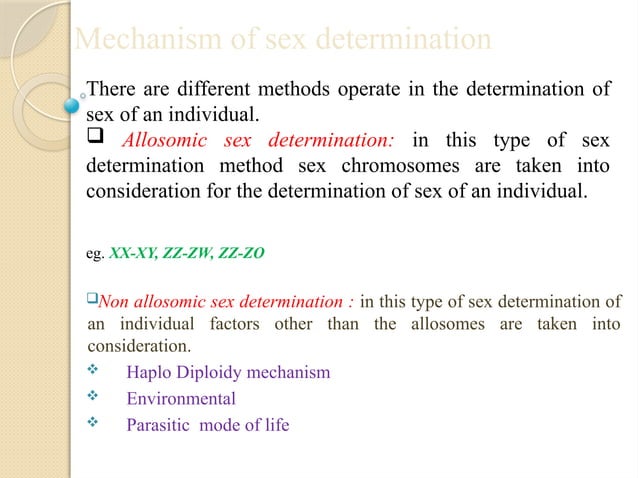 Sex Chromosomes And Their Role In Sex Determination Pptx