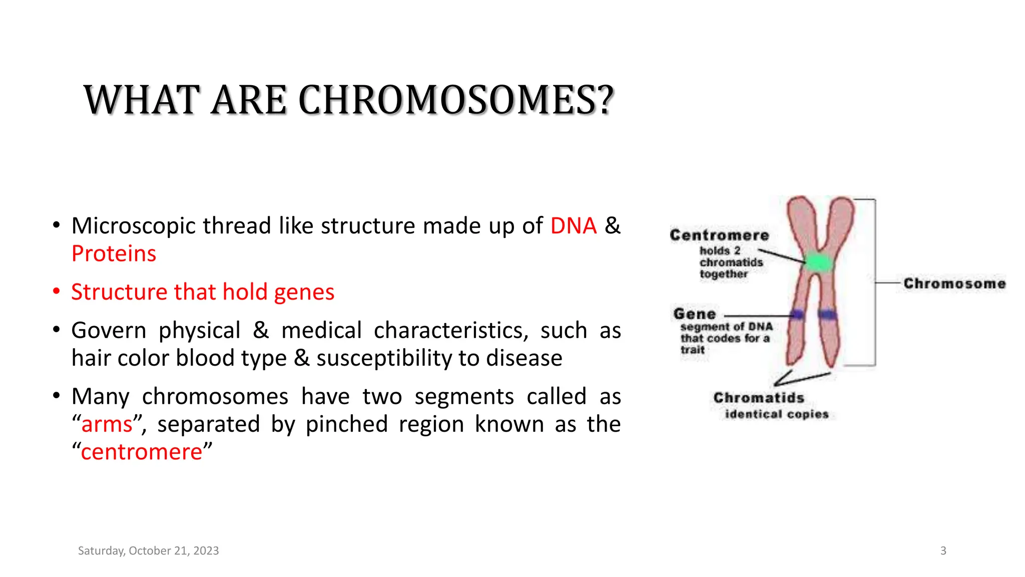 Sex Chromosomes Evolutionpptx