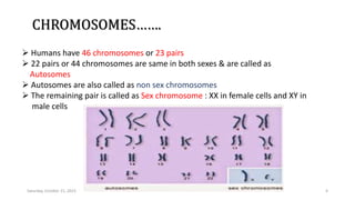 sex chromosomes -evolution.pptx