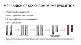 sex chromosomes -evolution.pptx