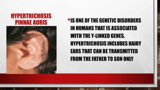 Sex Chromosomes and Sex Determination.pptx