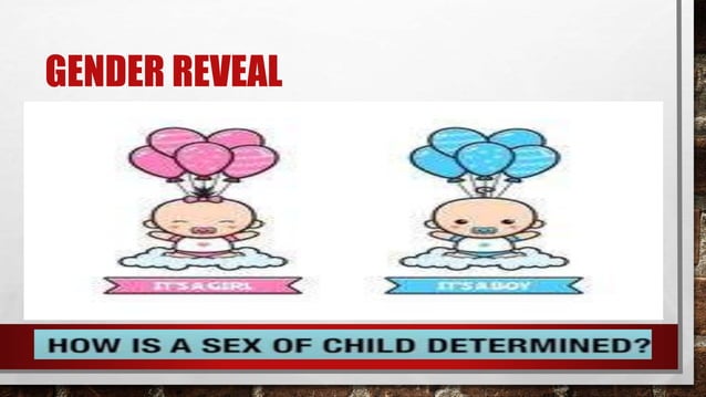 Sex Chromosomes And Sex Determination Pptx