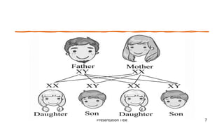 Sex Chromosomes and Sex Determination.pptx