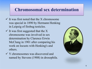 SEX DETERMINATION MECHANISMS IN PLANTS | PPTX