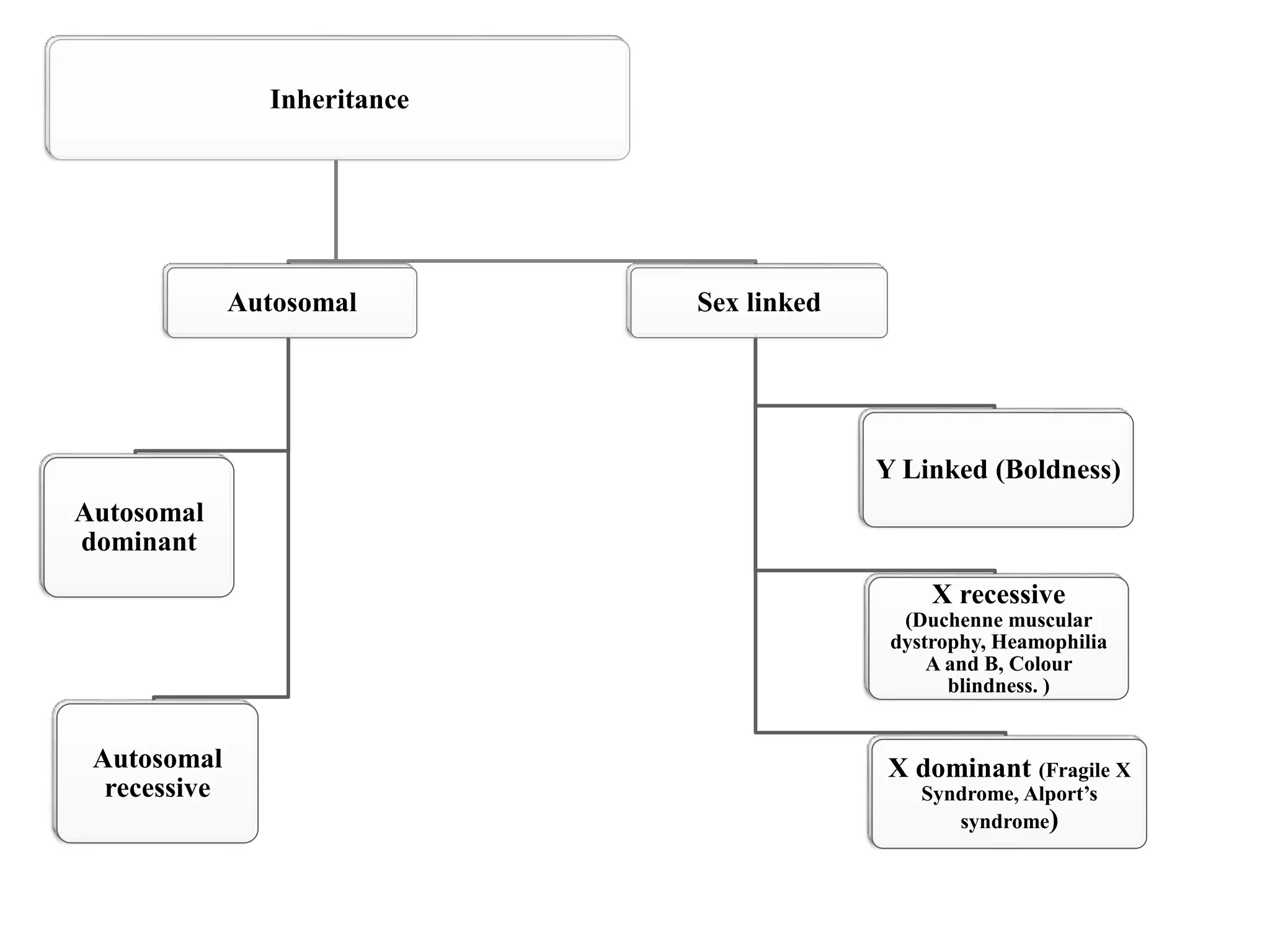 Sex Determination Ppt
