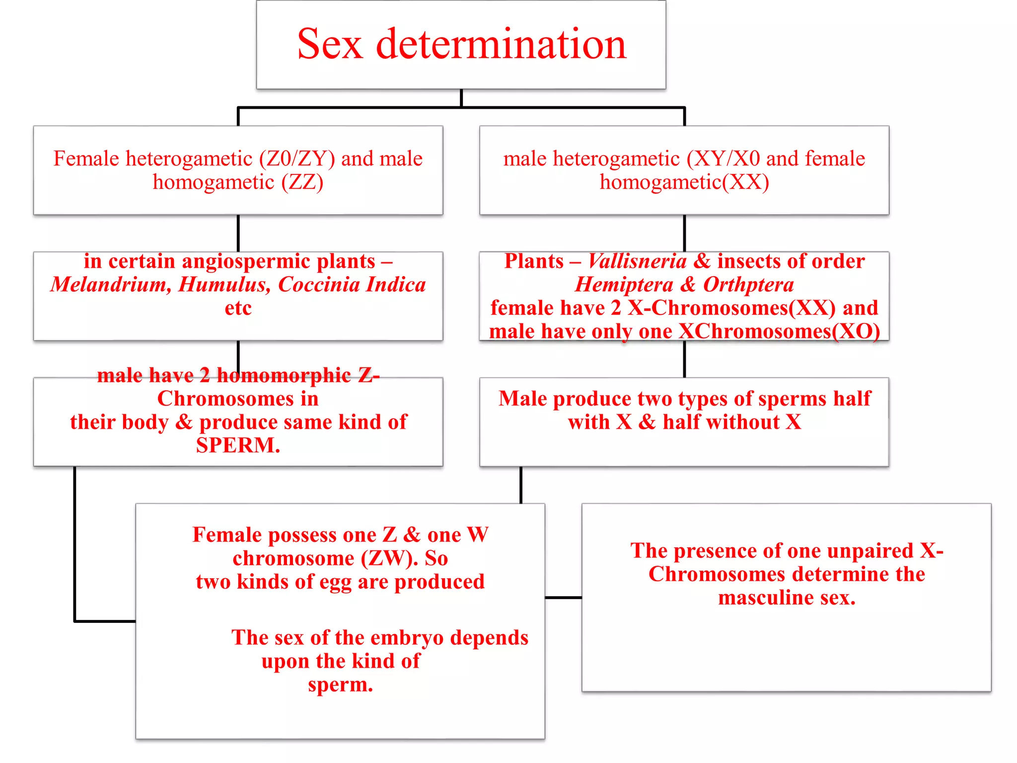 Sex determination .ppt