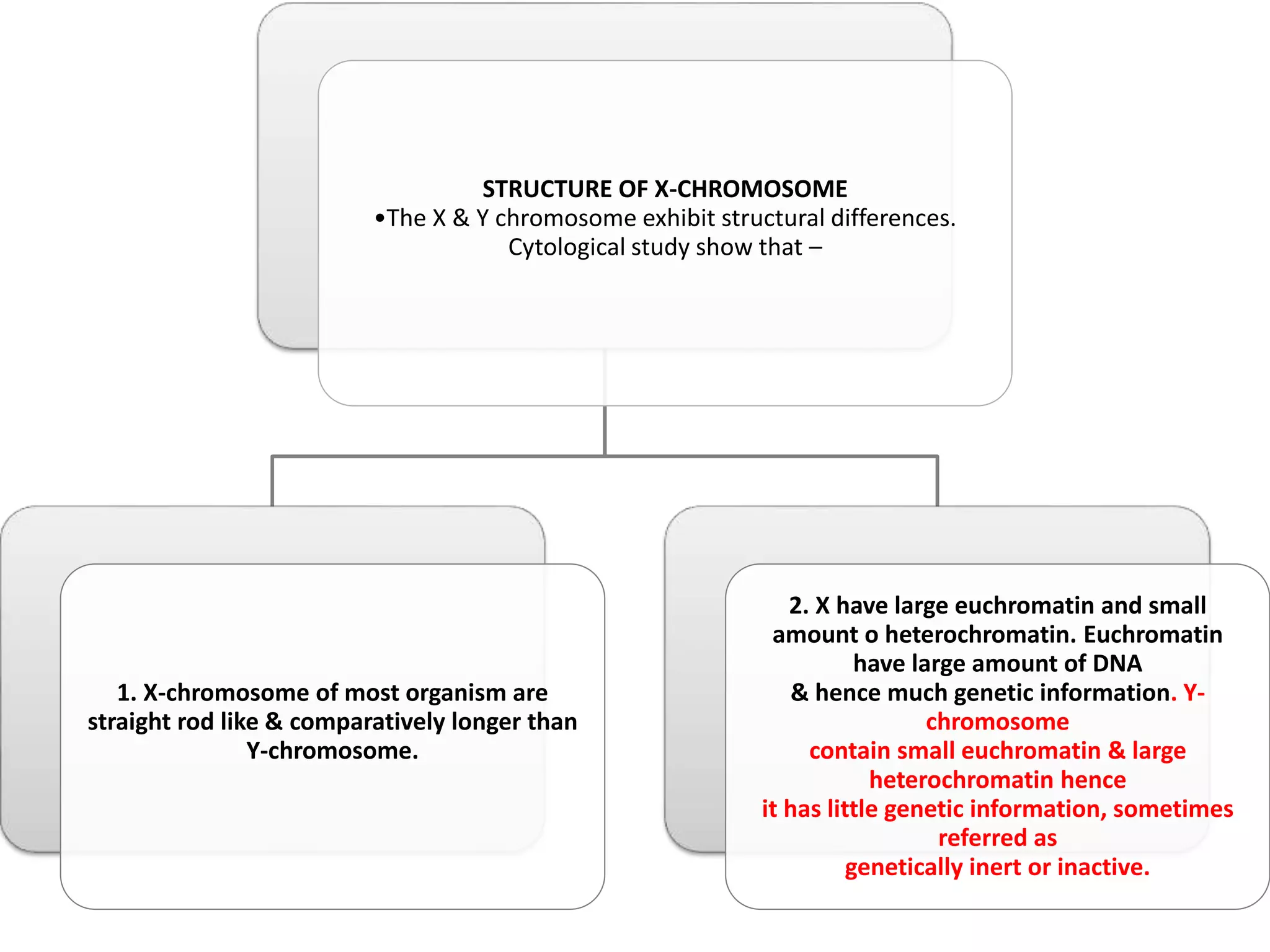 Sex Determination Ppt