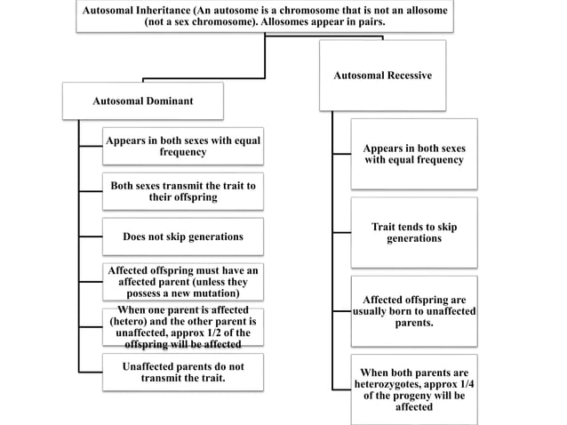 Sex Determination Ppt