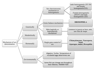 Sex determination .ppt
