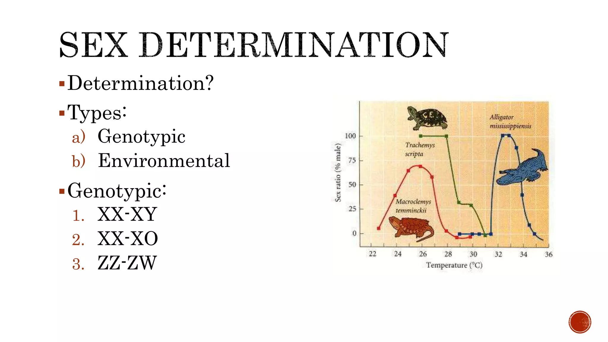 Sex determination, M. Sc. Zoology, University of Mumbai | PPTX