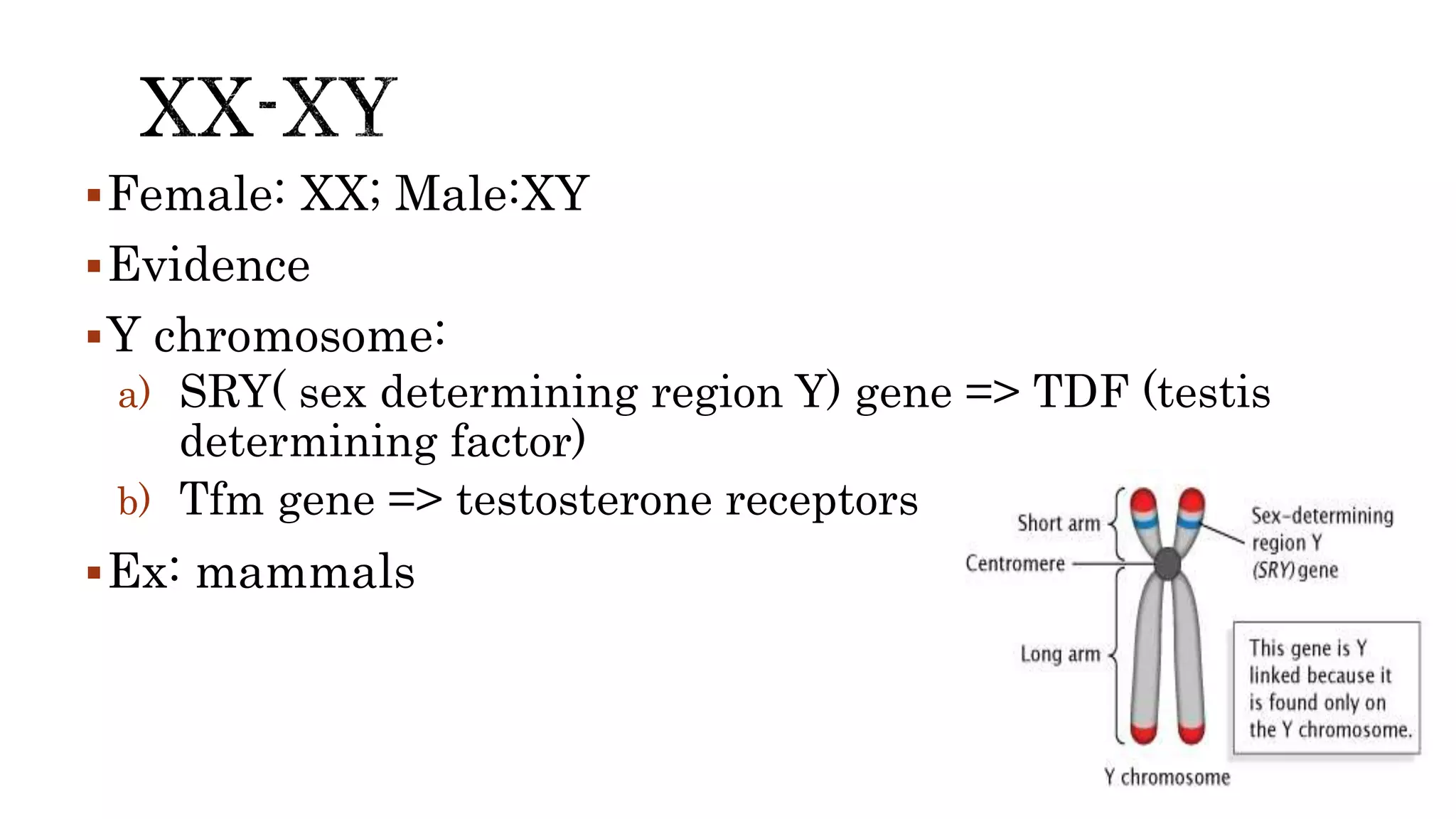 Sex determination, M. Sc. Zoology, University of Mumbai | PPTX