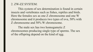 Sex determination | PPTX