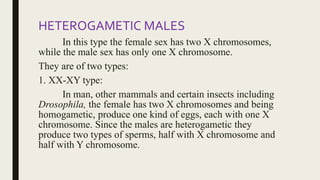 Sex determination | PPTX