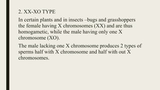Sex determination | PPTX