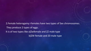 Sex determination in animals | PPTX