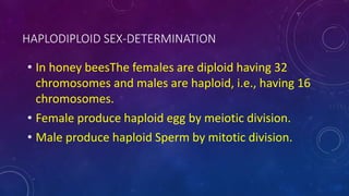 Sex determination in animals | PPTX