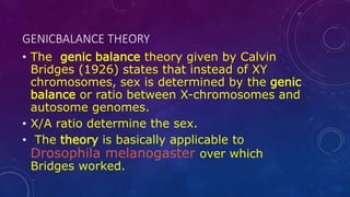 Sex determination in animals | PPTX