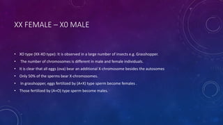 Sex determination in animals | PPTX